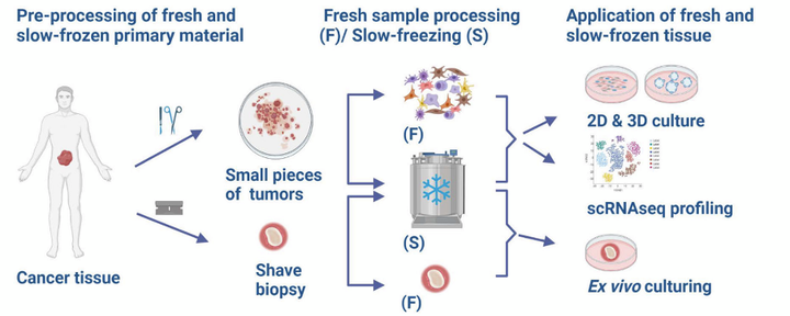 Single-cell multi-omics analysis | KrauthammerLab